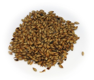 Descubre todas las maltas y cereales que se usan en...