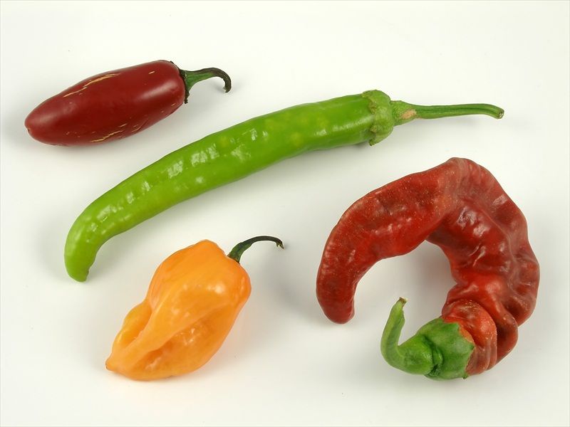 Chiles mexicanos | www.cocinista.es