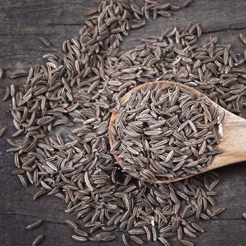 Comino | www.cocinista.es